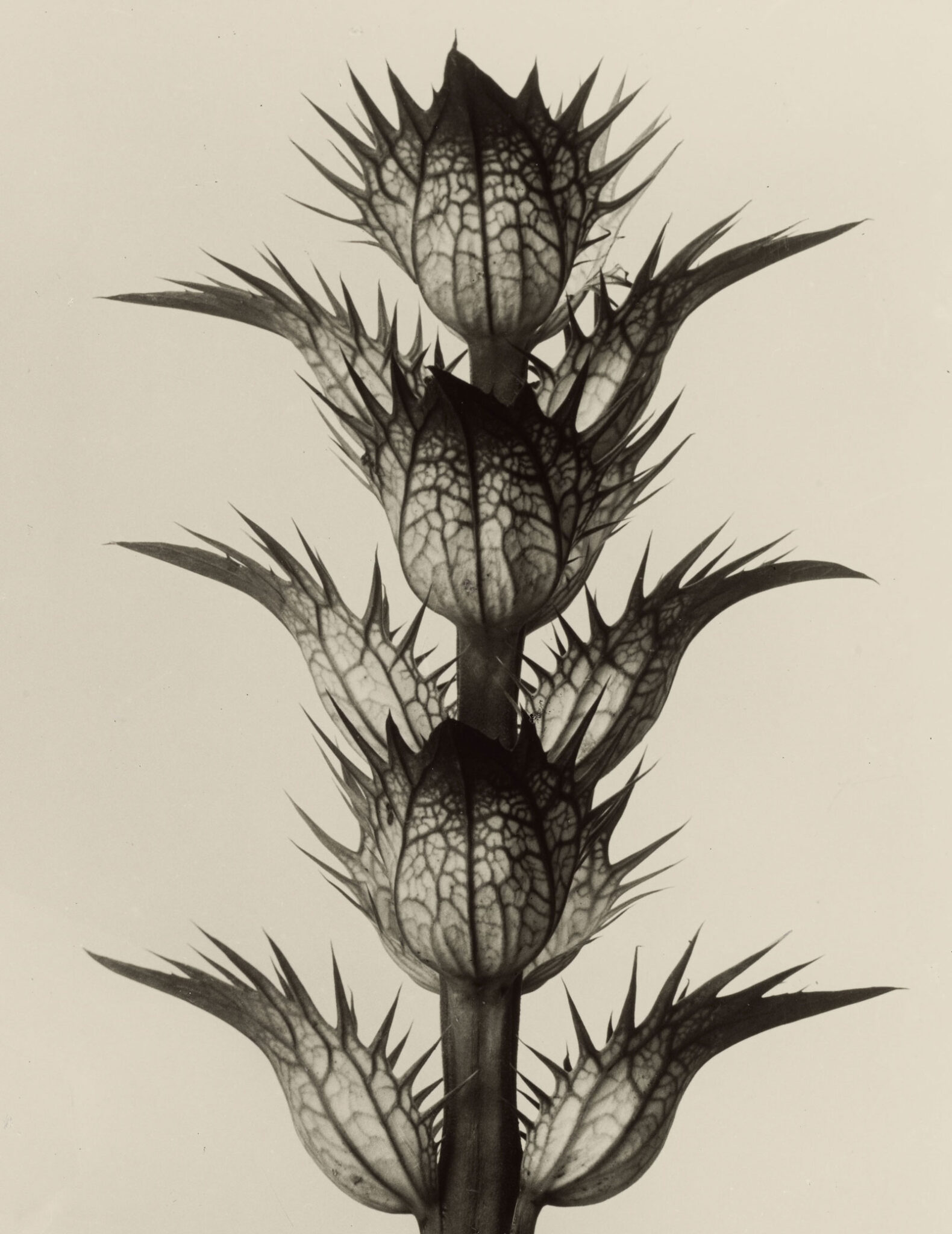 » Inspiration in Nature: How the Natural World Can Stimulate Creativity ...